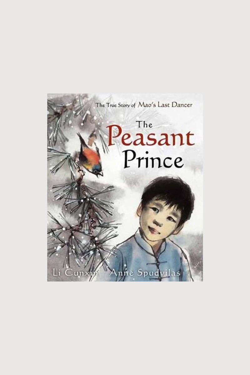 10073 - The Peasant Prince Book – Bloch Australia